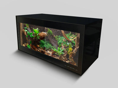 Arboreal Vivariums – Viperia UK
