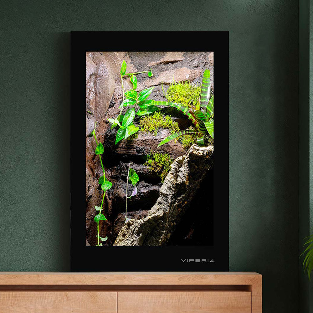 Vivariums & Enclosures – Viperia UK